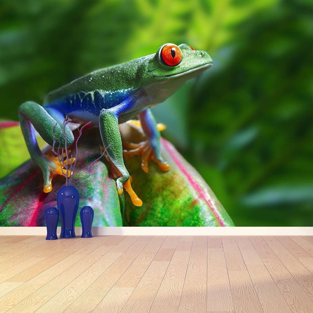Tree Frog Animal Repositionable Wall Mural | Wallpaper A Colourful Red ...