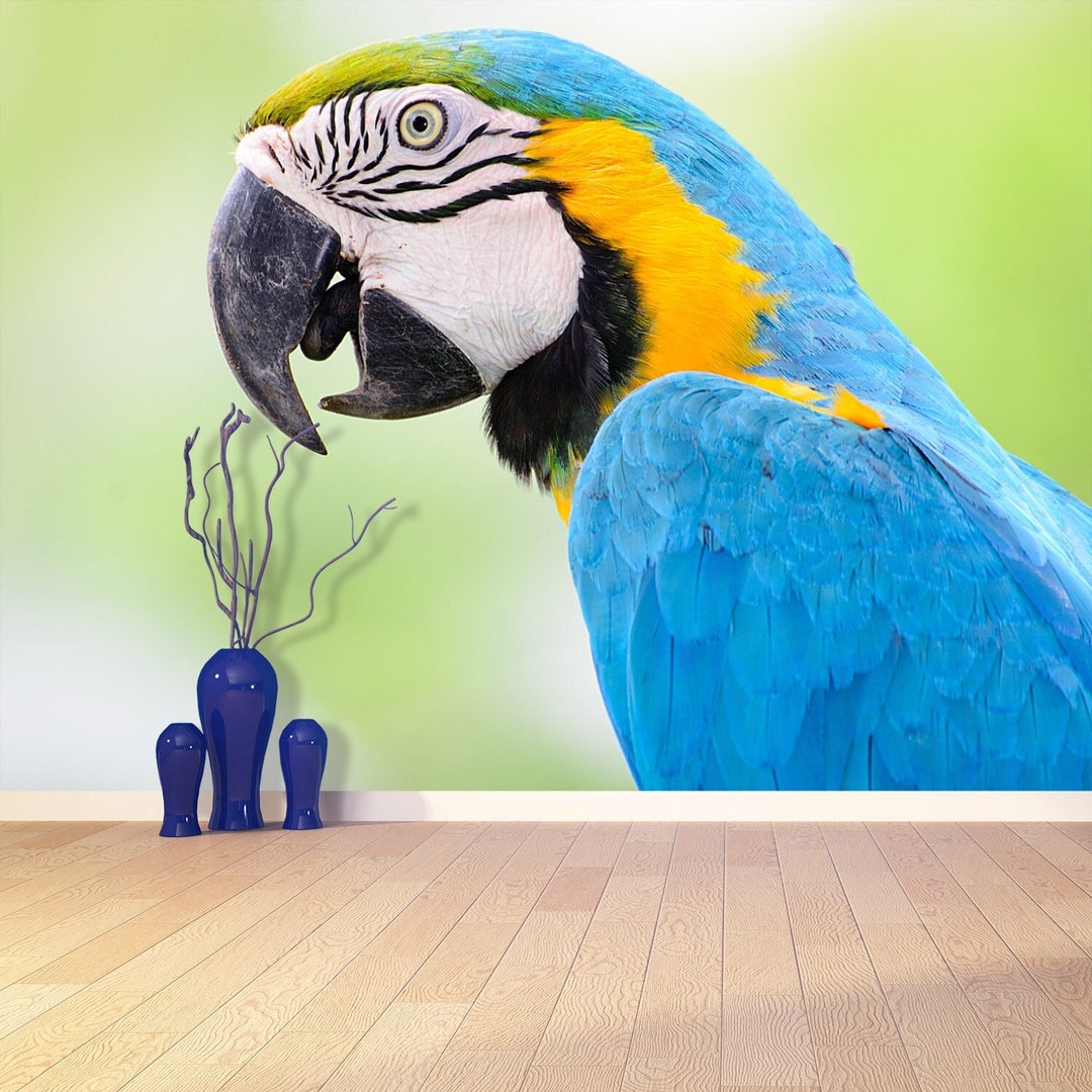 Parrot Bird Vlies or Self-adhesive Photo Wallpaper | Wallcovering Blue ...