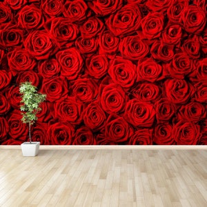 Red Roses Removable or Traditional Photo Wallpaper | Wallcovering ...