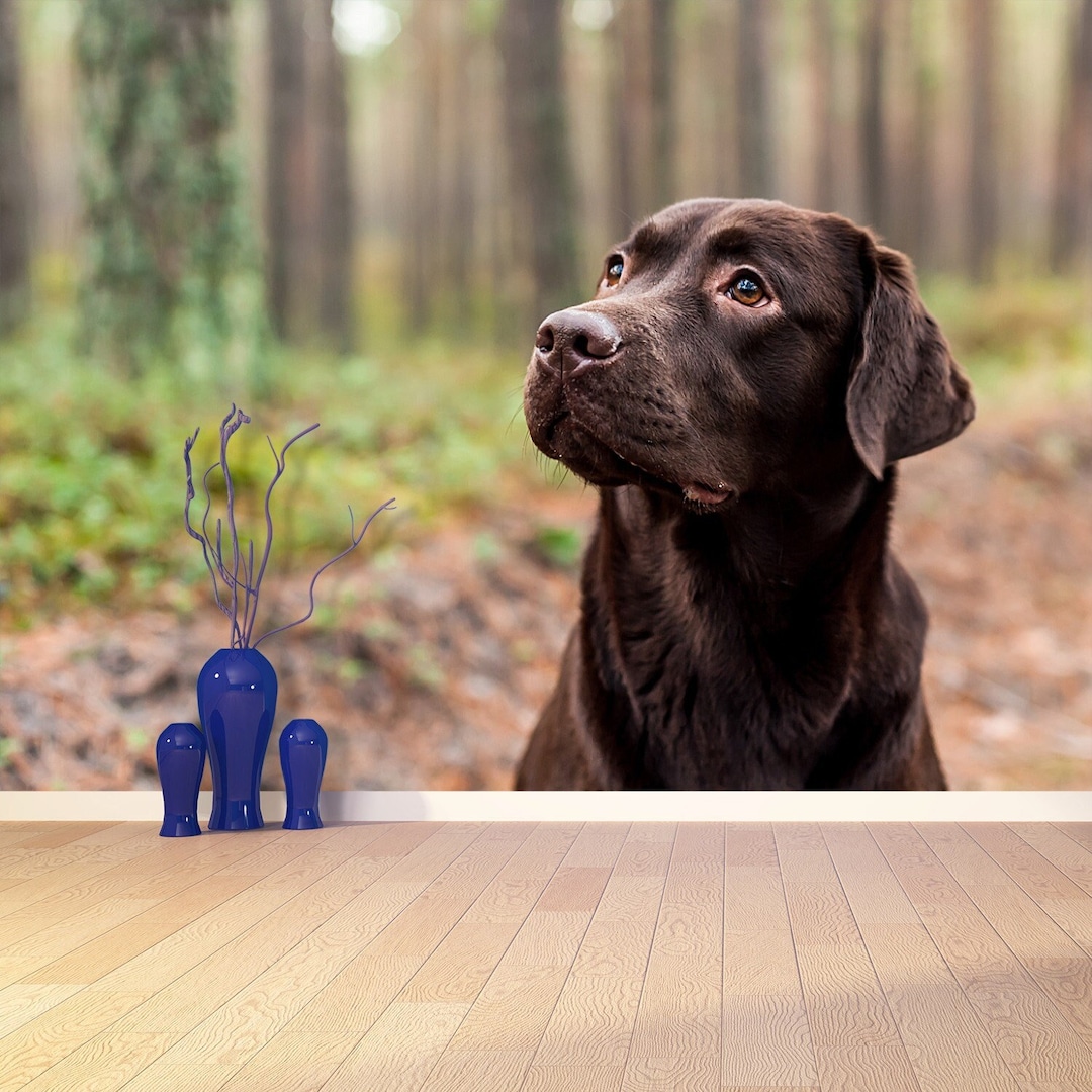Dog Labrador Peel and Stick or Classic Glue Wall Mural | Wallpaper ...