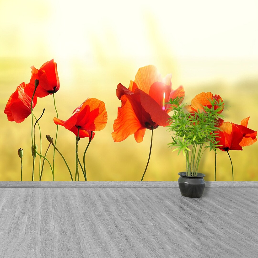 Poppy Peel&stick or Non-woven Mural | Wallpaper Poppy Non-woven ...