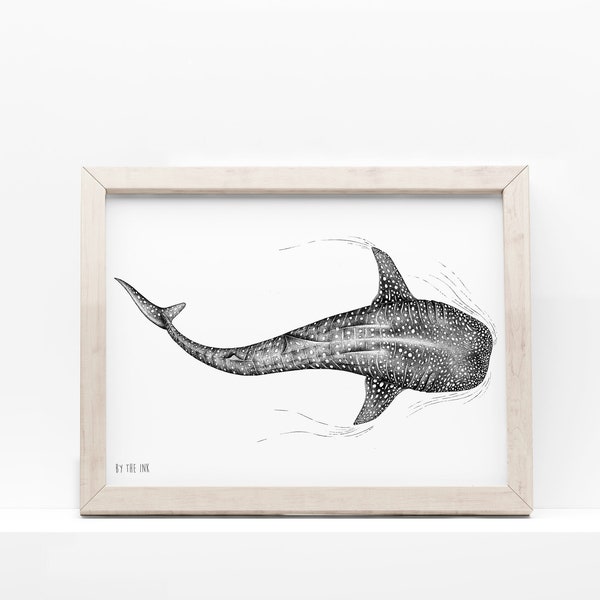 Shark Postcards, Black Ink Sharks, Watercolour Postcards, Whale Shark ...