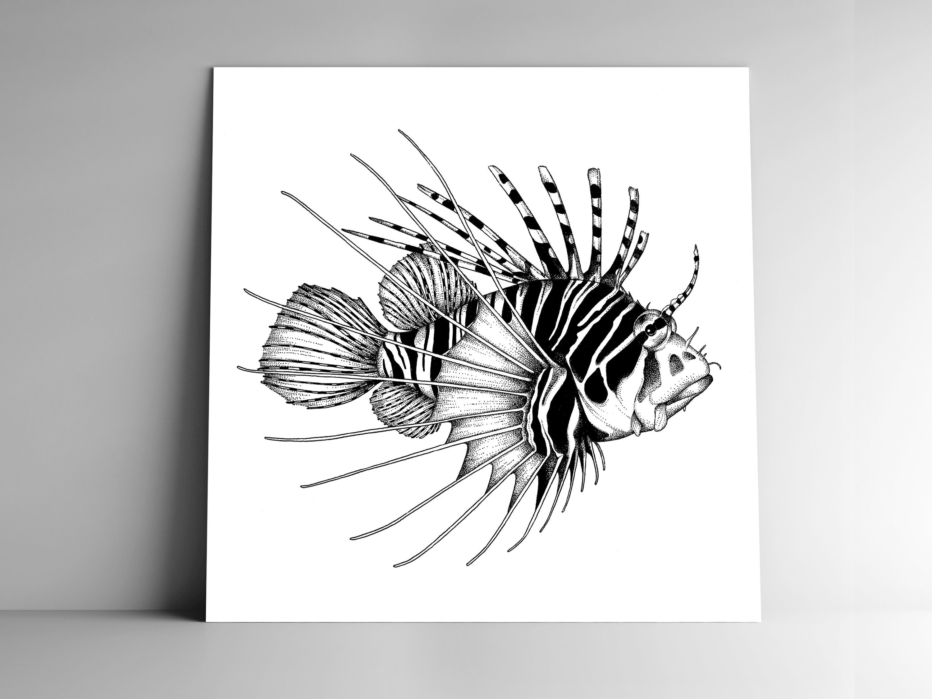 Lionfish Mermaid Drawing