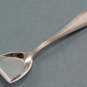 Wellner Silver Plated Salt Spoon Very Small Spoon for Spices - Etsy