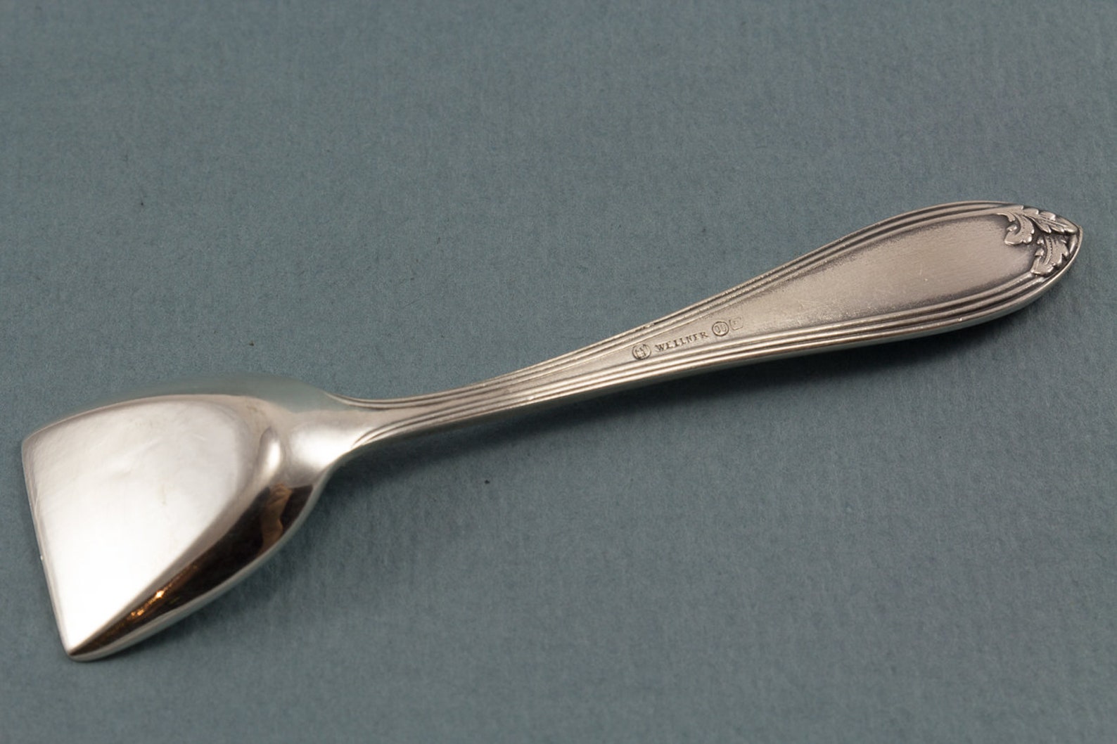 Wellner Silver Plated Salt Spoon Very Small Spoon for Spices - Etsy