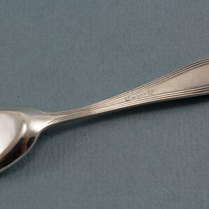 Wellner Silver Plated Salt Spoon Very Small Spoon for Spices - Etsy