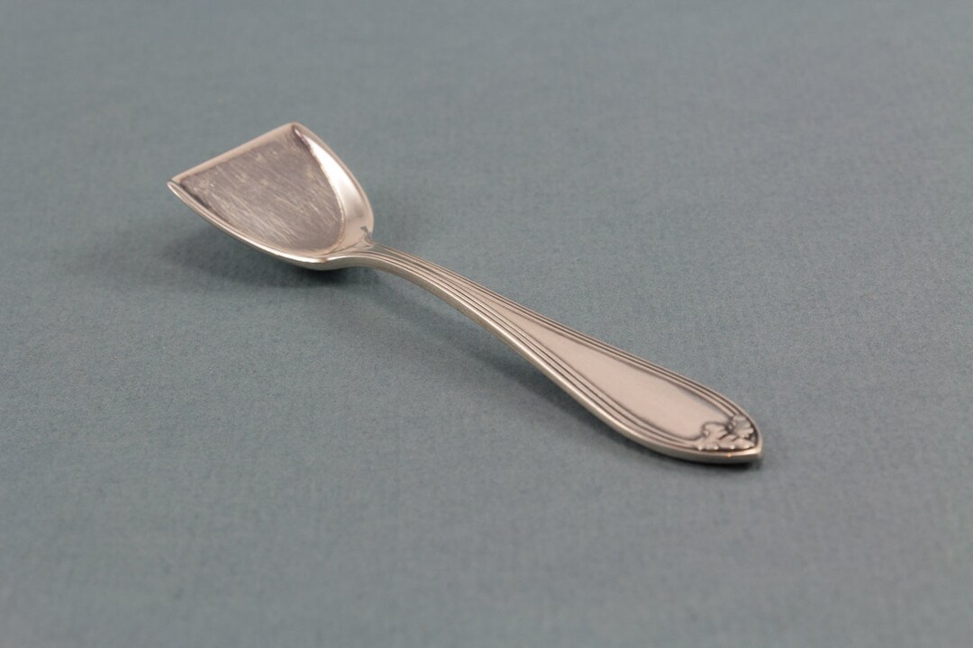 Wellner Silver Plated Salt Spoon, Very Small Spoon for Spices - Etsy