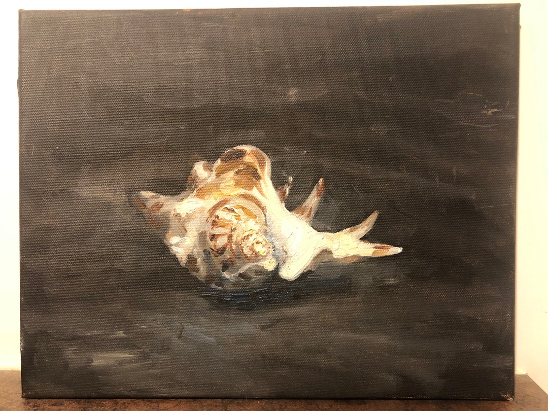 Magic Seashell - Etsy