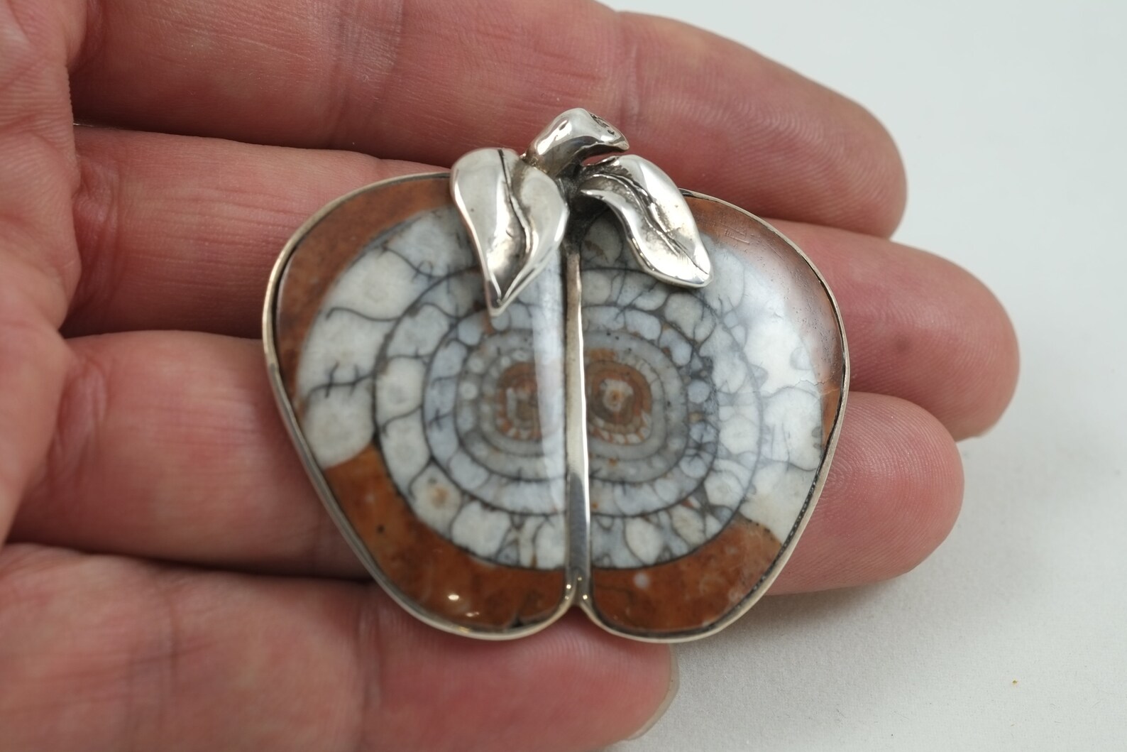 Silver Ammonite Pendant, Silver Ammonite Brooch, Nautilus Fossil, Apple ...