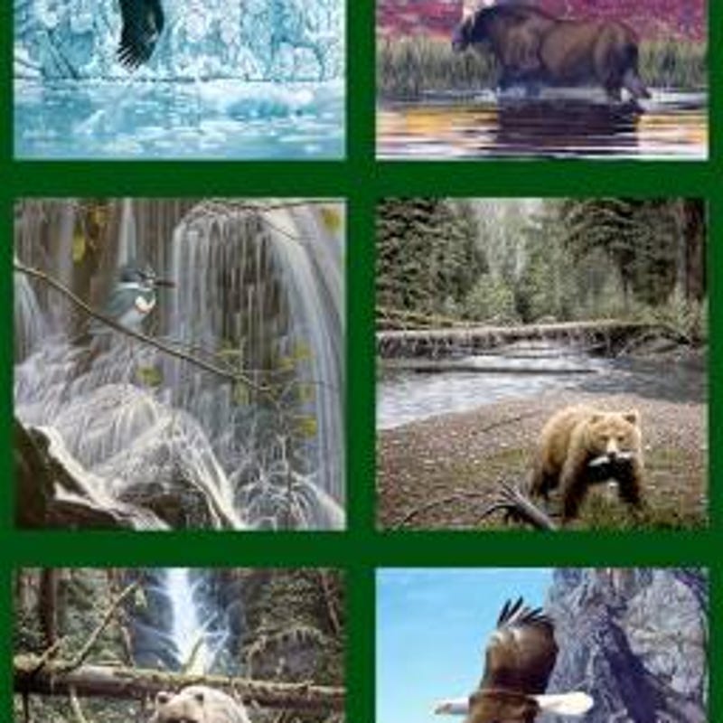 Terry Bear Panels - Etsy