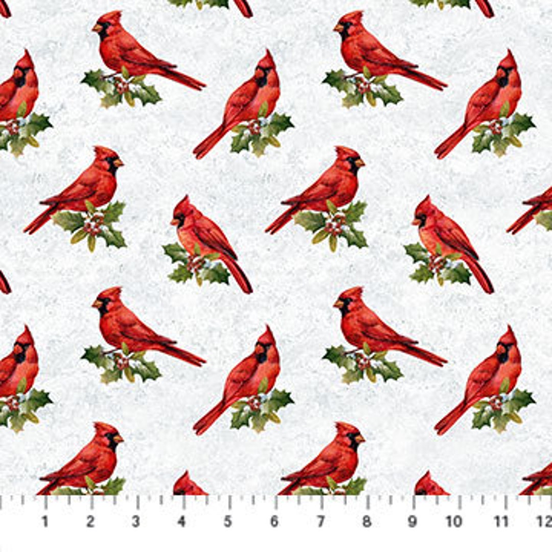 The Cardinal’s Visit DP24081-11 Cardinals Digital by Sir John Seerey ...