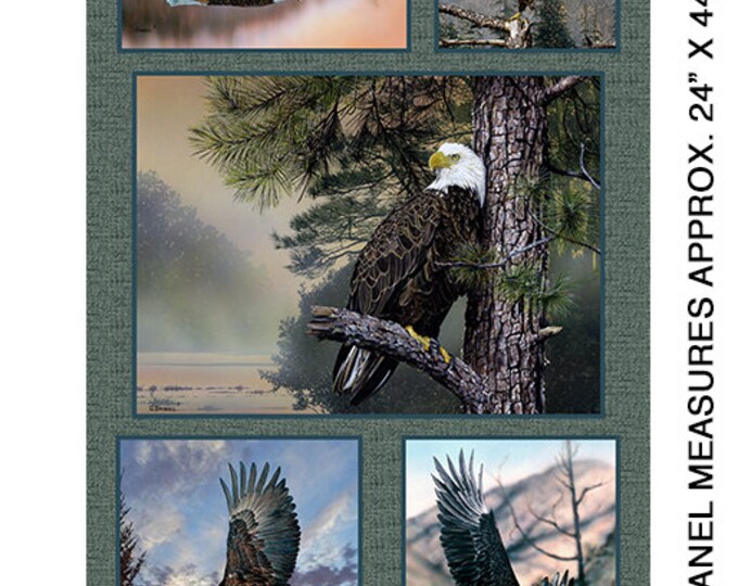 Soaring Heights 6987-99 Eagle Panel Multi 24” Panel by Danny O’driscoll ...