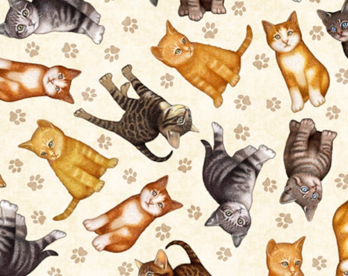 Puddy Cats DDC10613-CREM-D Funny Felines by Emma Jayne for Michael ...