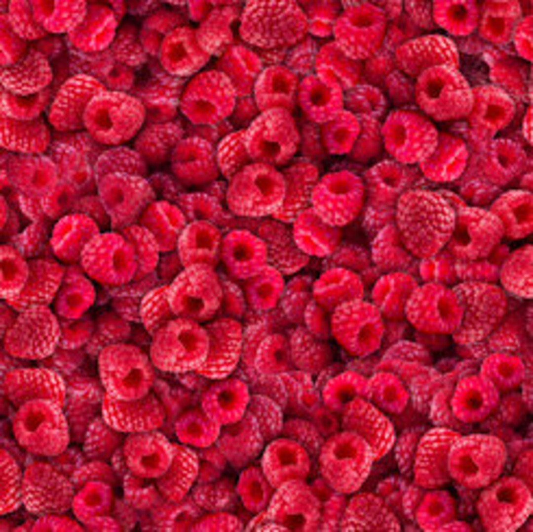 End of Bolt 8 Fresh 1649-28450-MP Raspberry by Dan Morris for QT ...