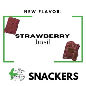 Sebby’s Snackers- Thin and Crispy Treats for Rabbits & Bunnies, Guinea ...