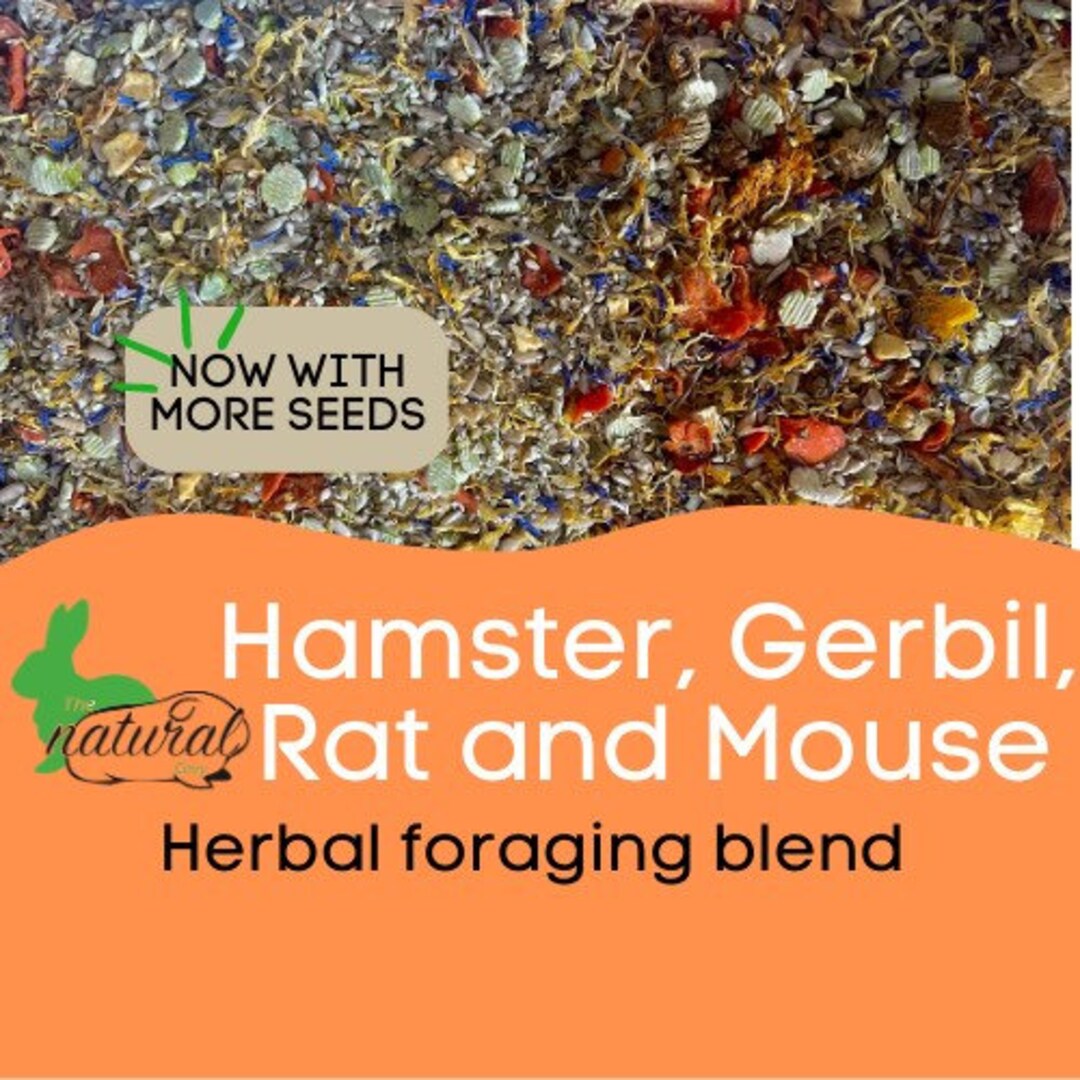 Hamster, Gerbil, Rat, and Mouse Forage Mix - Etsy