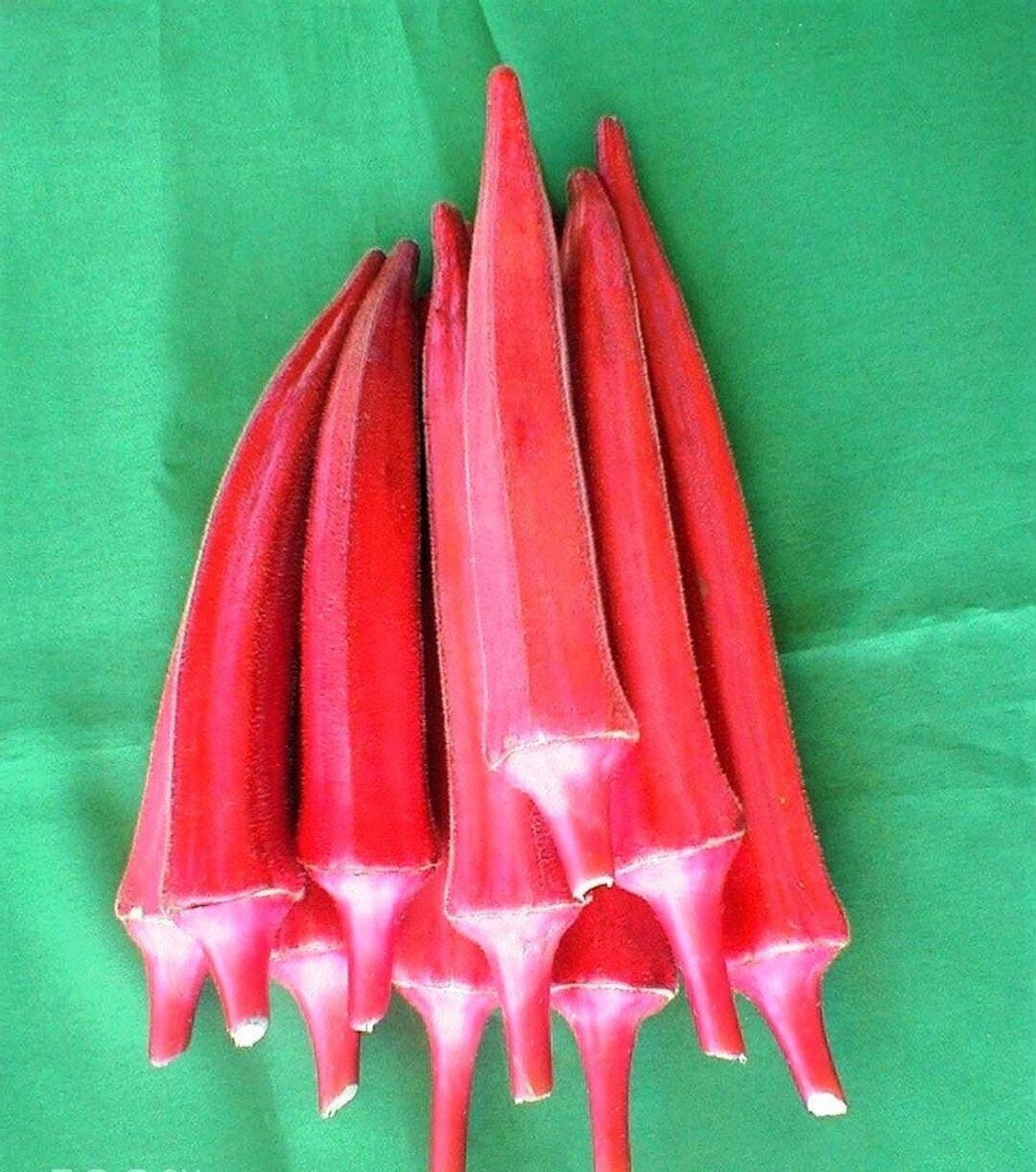 The Red Okra Plant, 20 Hybrid Seeds,rare! - Etsy