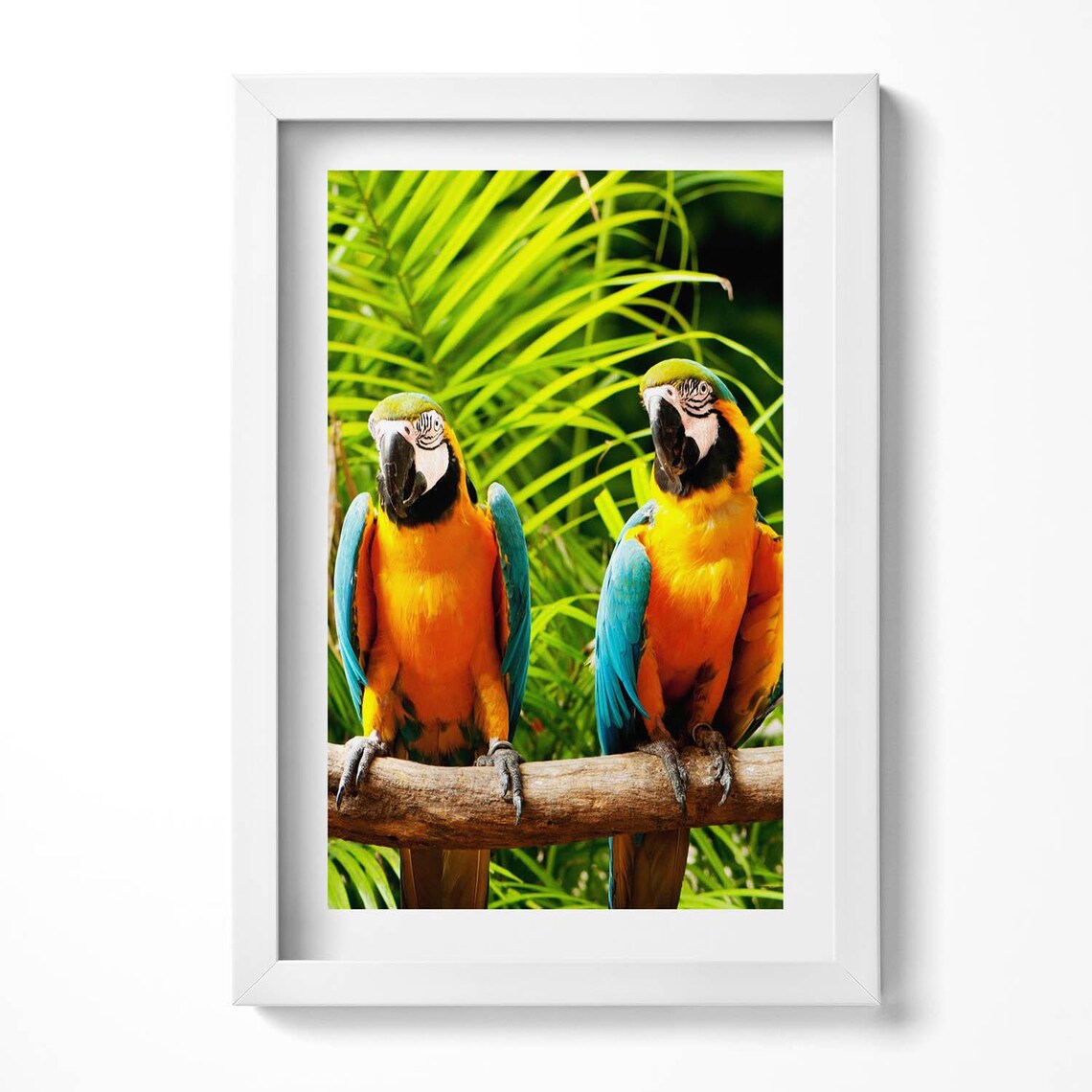 Two Colorful Macaw Parrots in the Jungle Framed Art, Animals ...