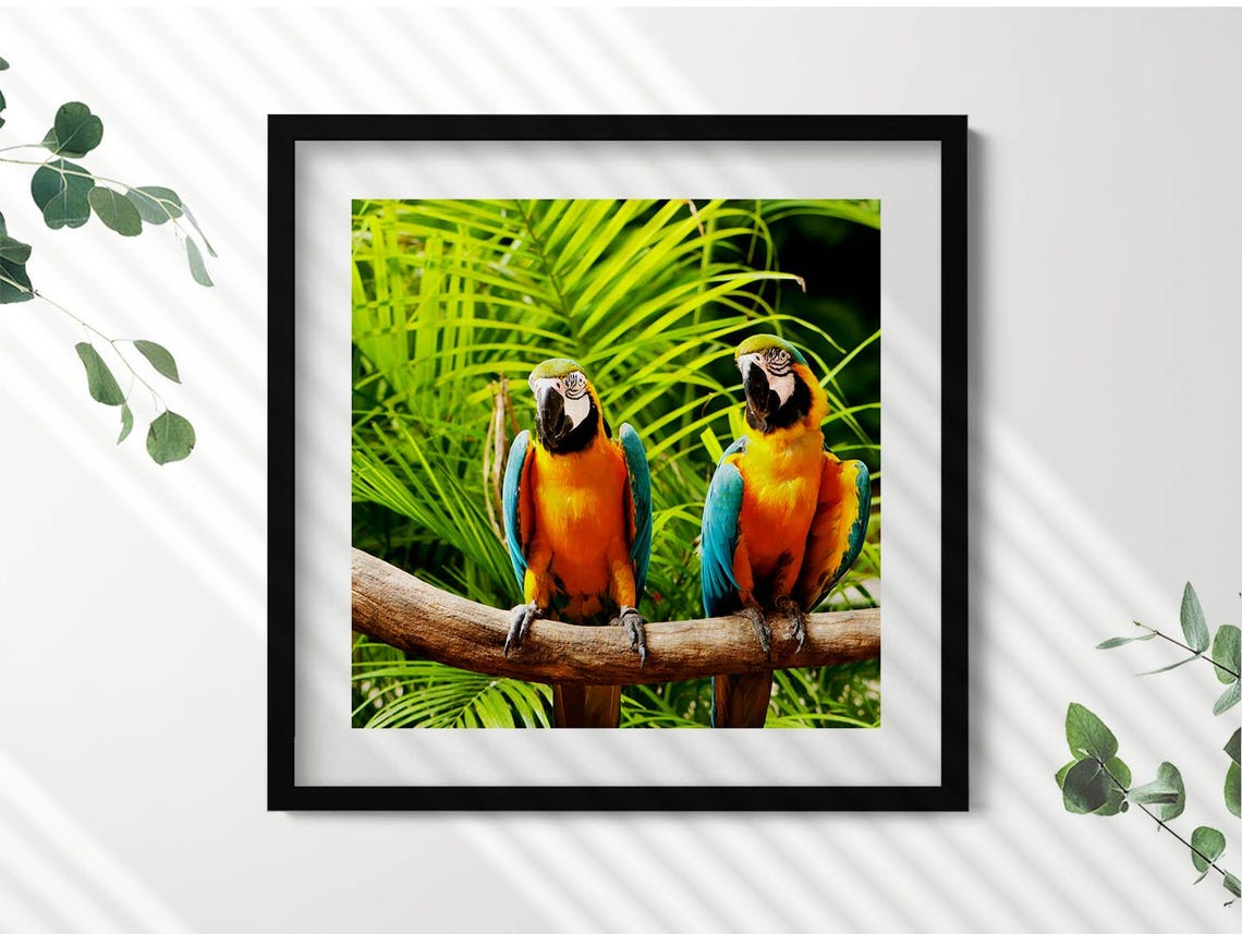 Two Colorful Macaw Parrots in the Jungle Framed Art, Animals ...