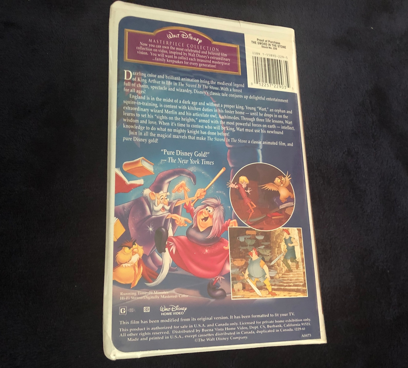 Disneys Sword in the Stone - Etsy