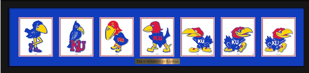 KU Jayhawk Evolution Framed With 3D Effect and Brass Title Plate 9x38 ...