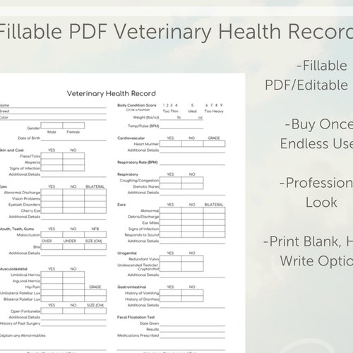 Veterinary Health Record Fillable PDF | Etsy