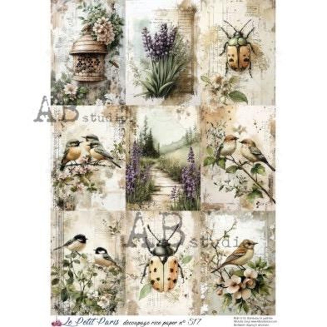 Garden Bird and Ladybug Illustration Panel |AB Studios #517 | A4 ...