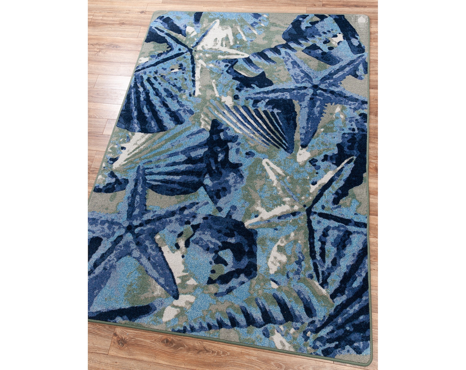 Sea Shell Rug Seashell Rug Sea Shell Area Rug Seashell Area - Etsy