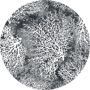 Coral Rug, Gray Coral Rug, Coral Area Rug, Coastal Rug, Beach Rug, Gray ...