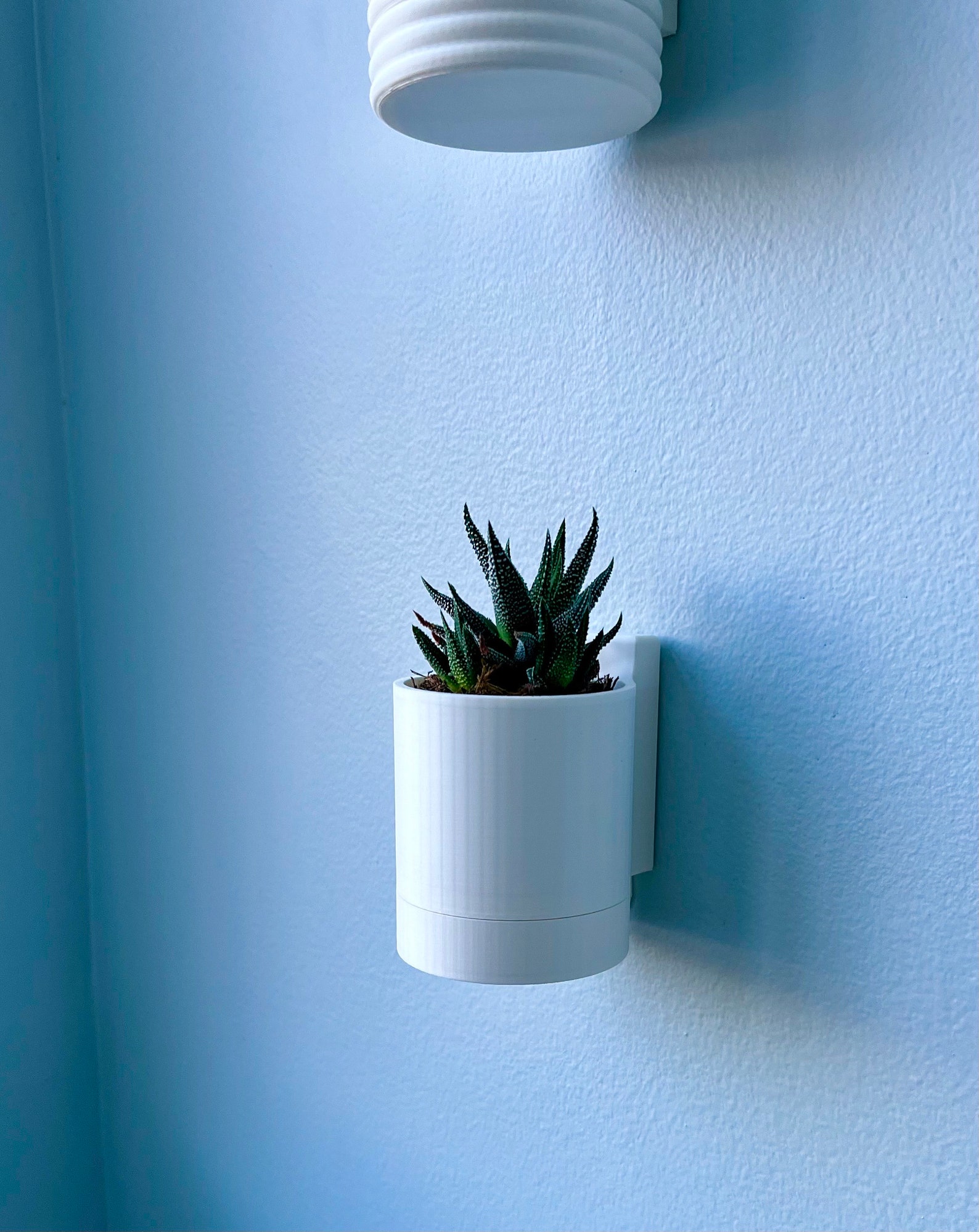 Indoor Planter Wall Pot With Twist-on Drip Tray Easy Installation ...