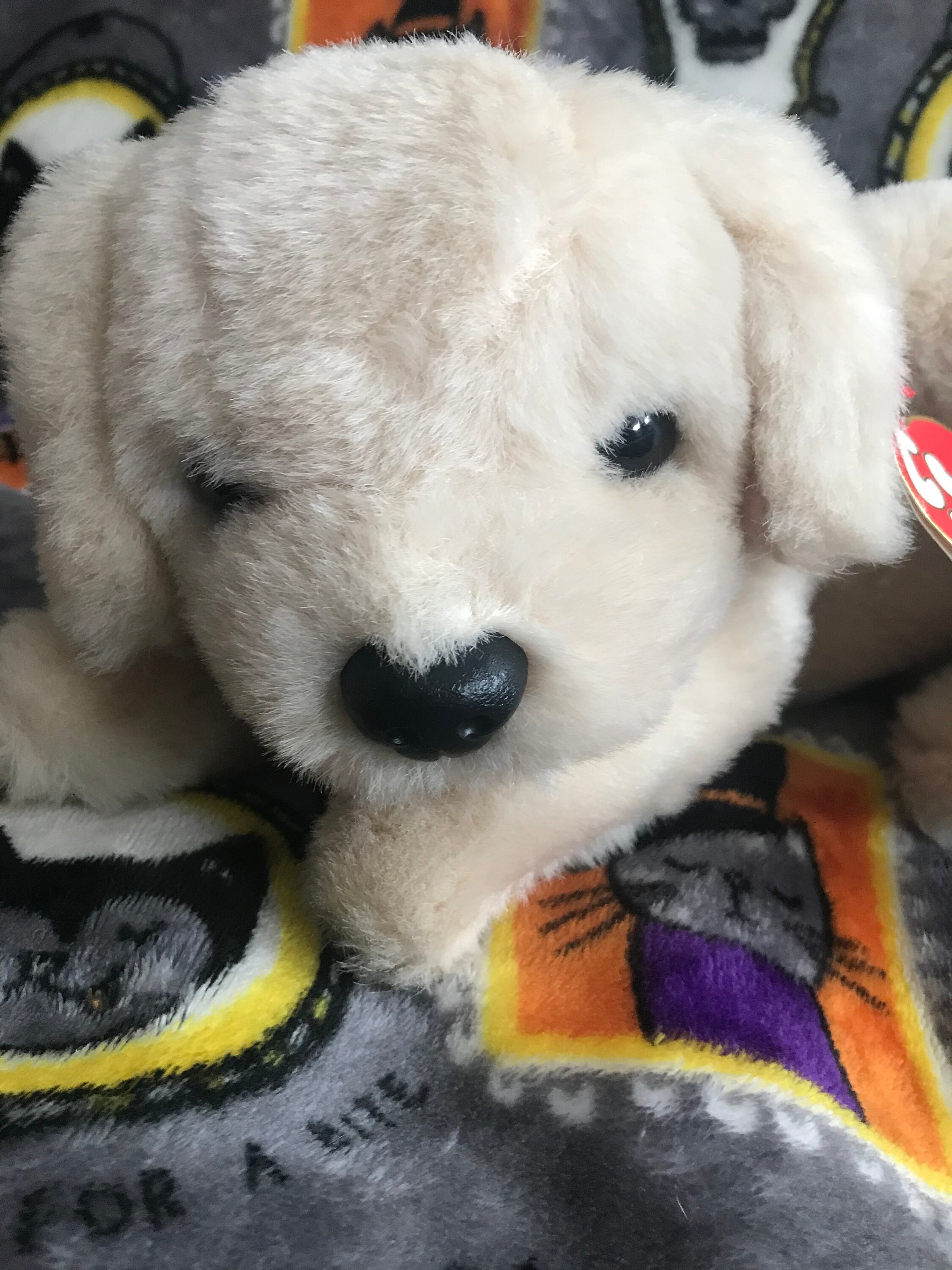 Vintage TY Classic Muffin the Dog Style 2020 1995 - Etsy