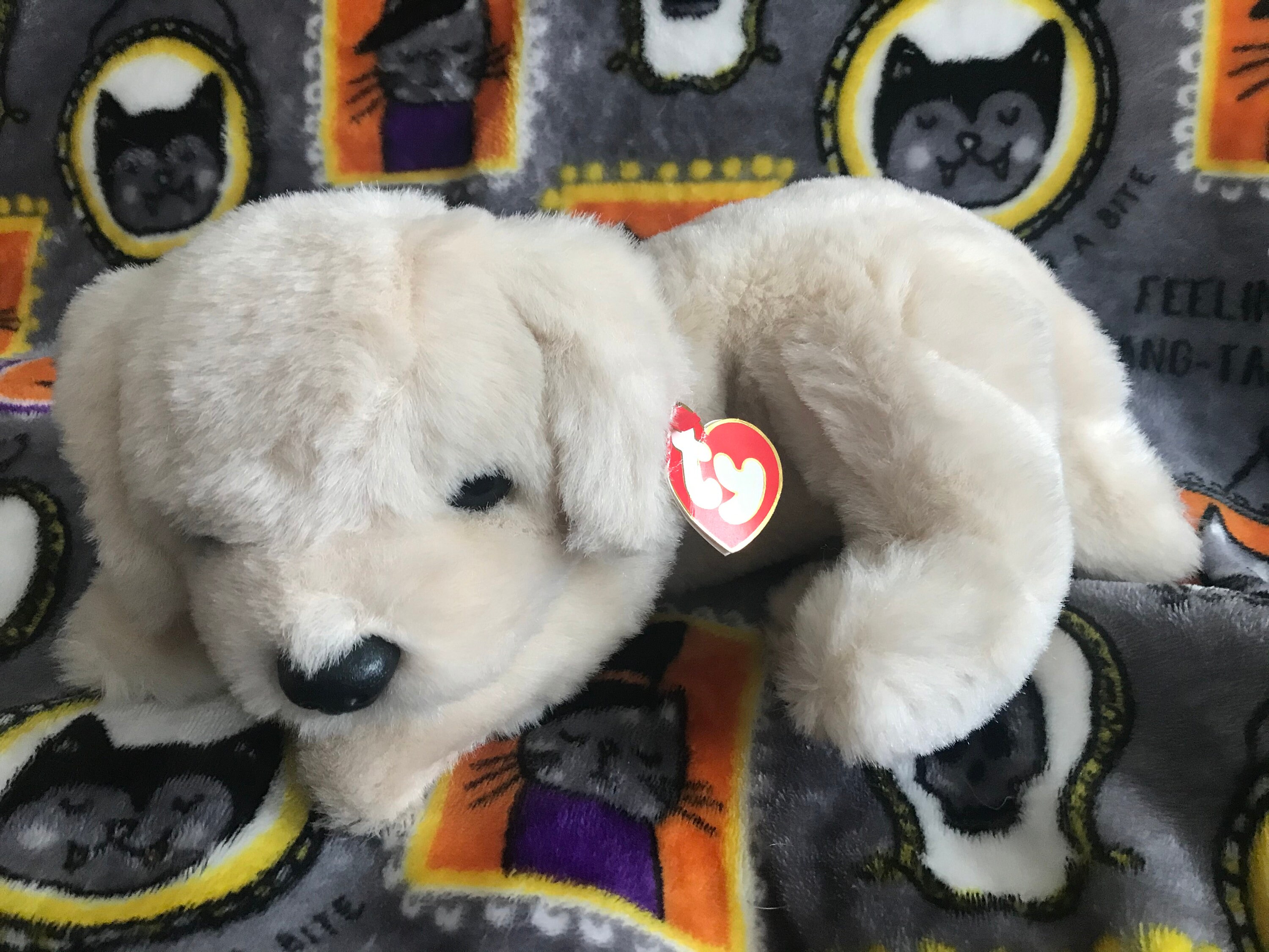 Vintage TY Classic Muffin the Dog Style 2020 1995 - Etsy