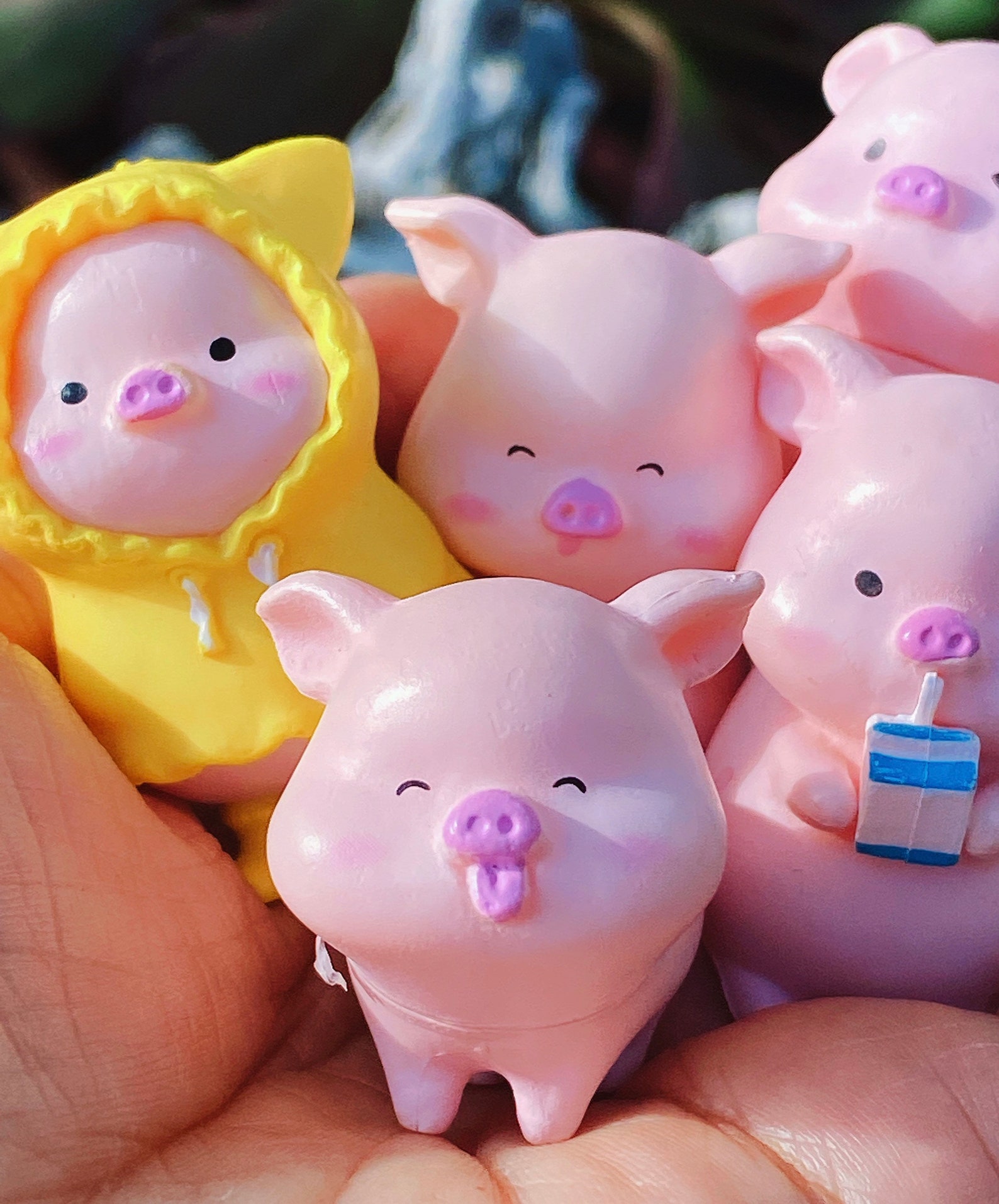 Rare Imported Korea Succulent Pink Piggy Decorative Piggy Figures Set ...