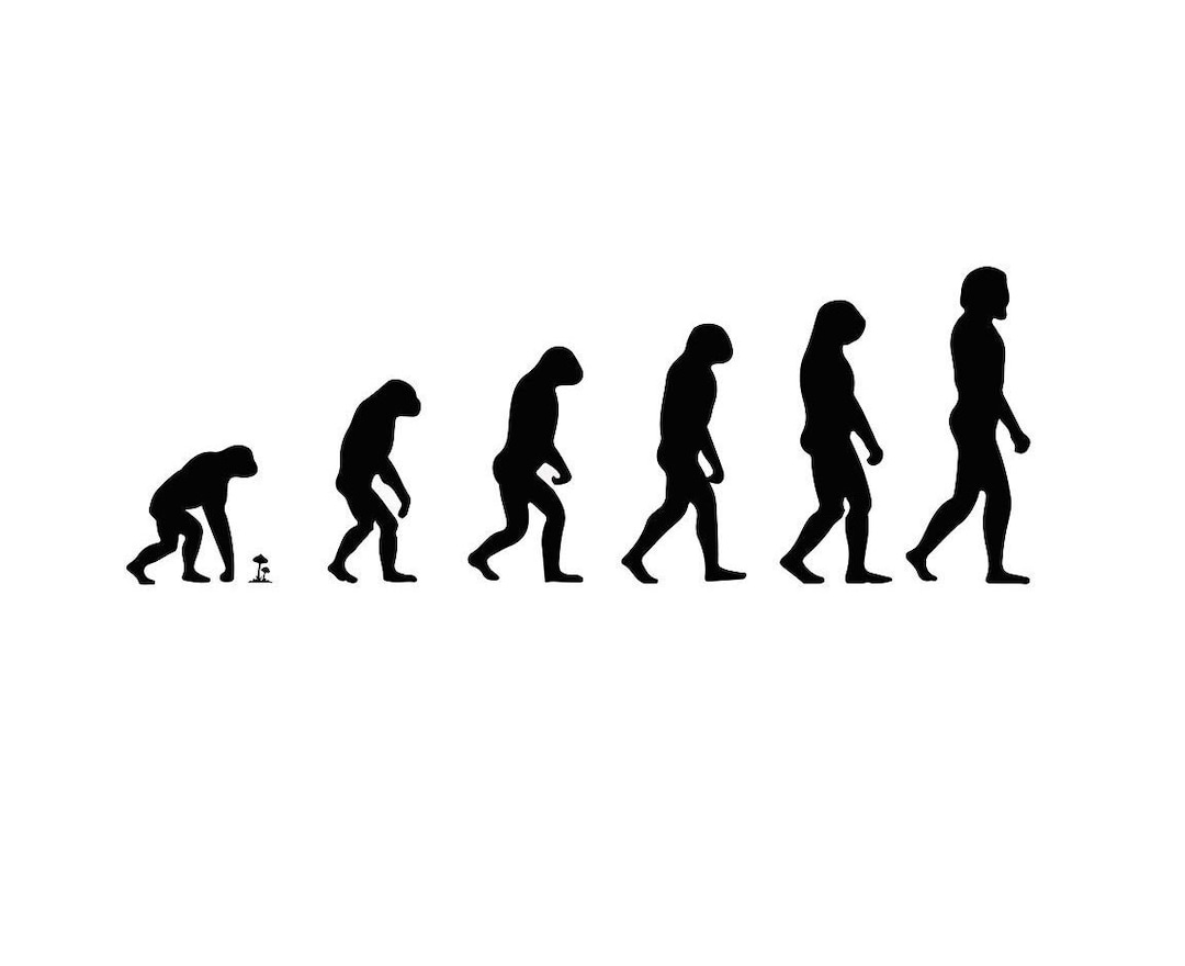 Mushr-evolution Print - Etsy