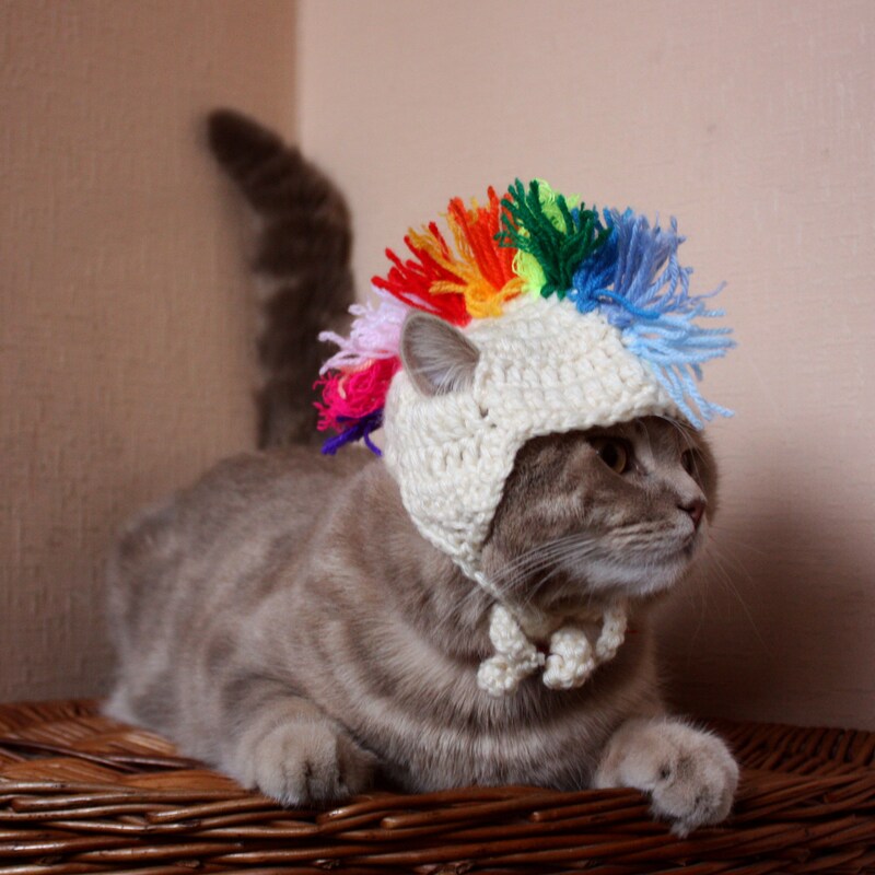 Hats for Cats - Etsy