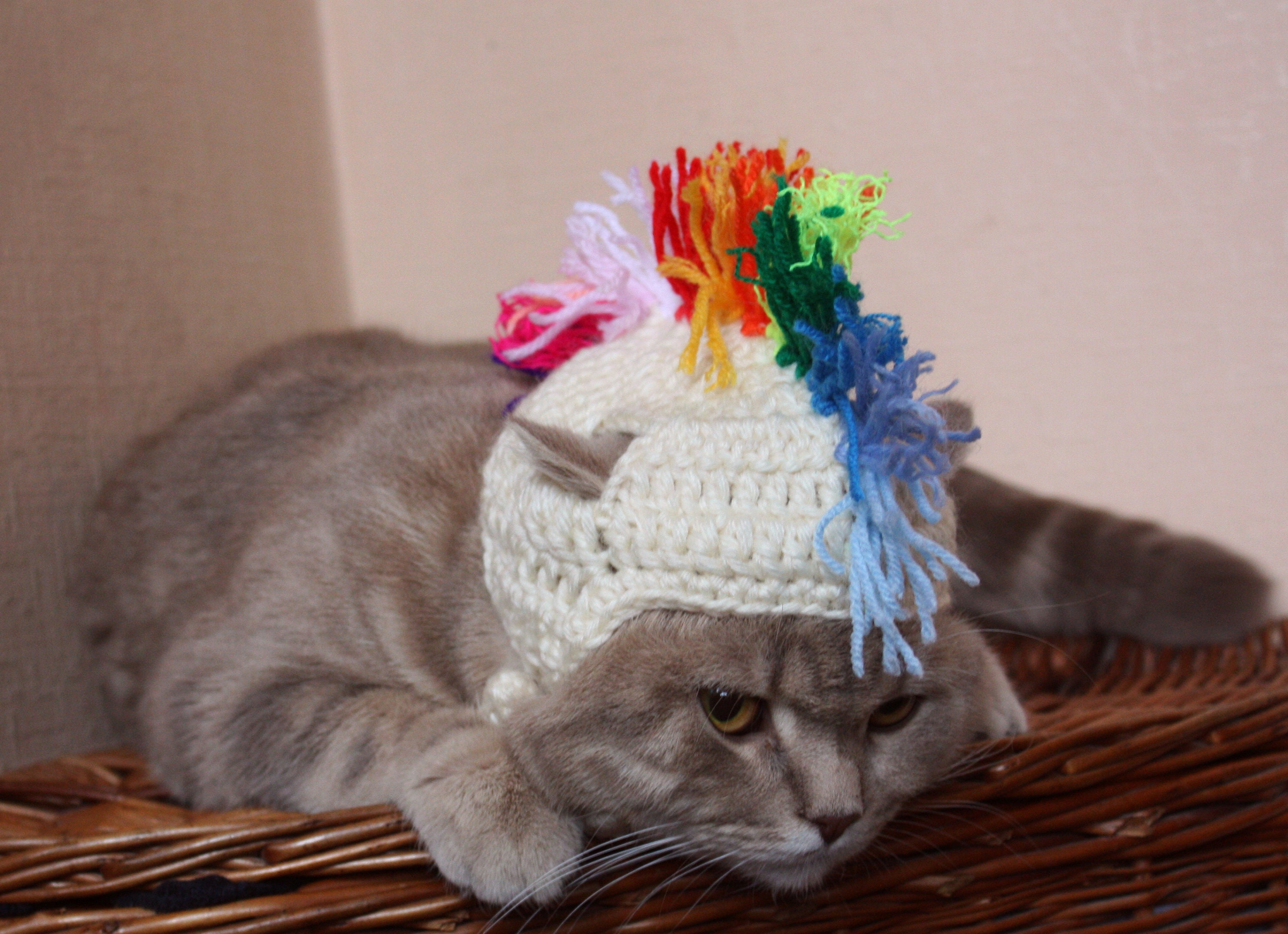 Multicolored Hat for Cat Punk Hair Funny Halloween Costumes - Etsy