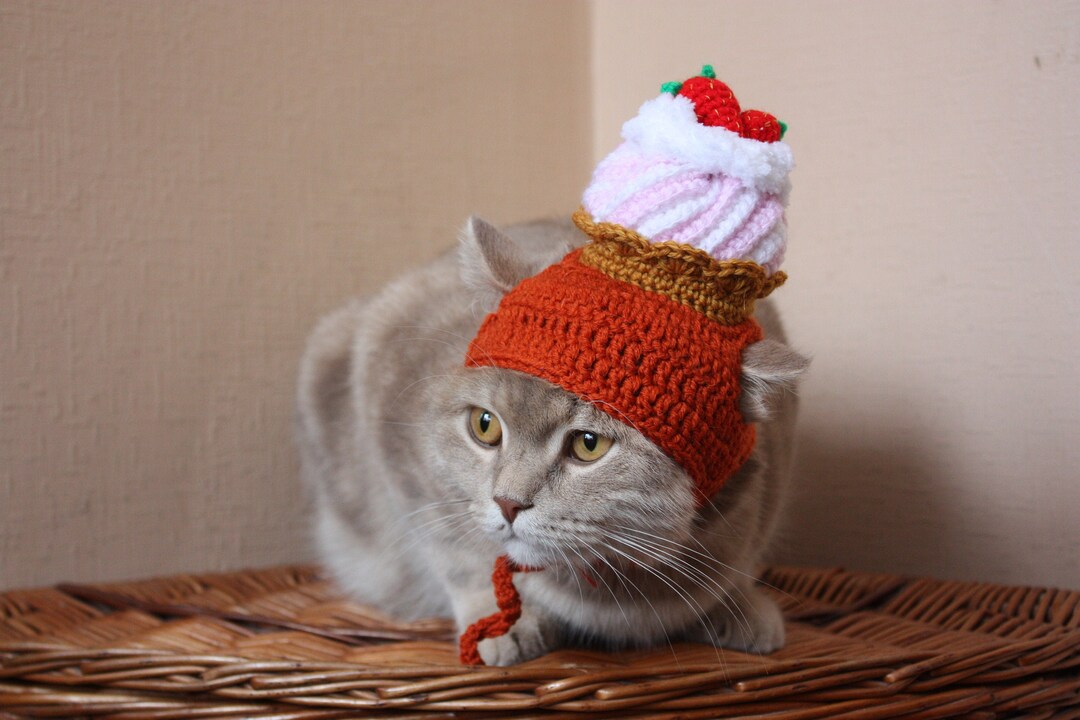 Cat Hat With Cake and Strawberries, Pet Accessories, Cat Clothes, Cat ...