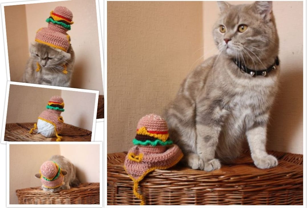 Hat Hamburger for Cat, Pet Accessories, Cat Clothes, Cat Lover Gift ...