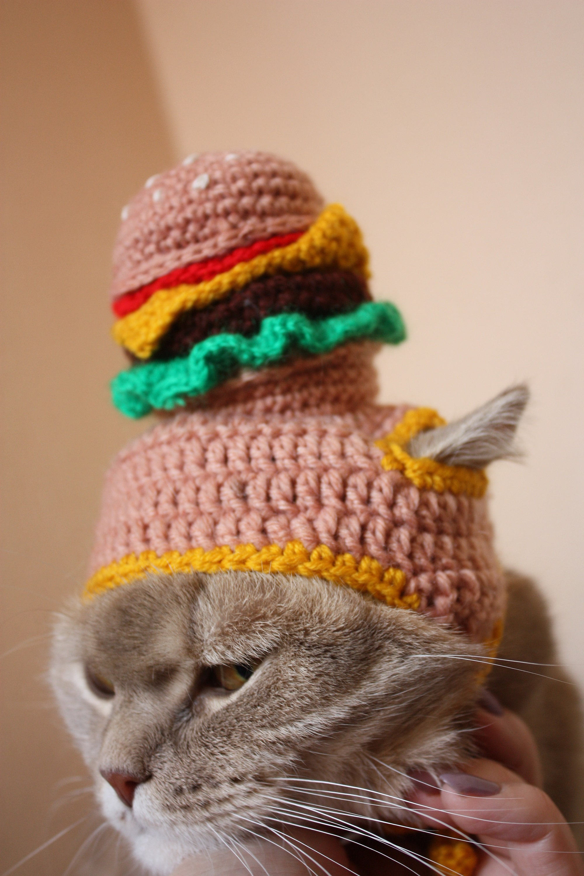 Hat Hamburger for Cat Pet Accessories Cat Clothes Cat - Etsy