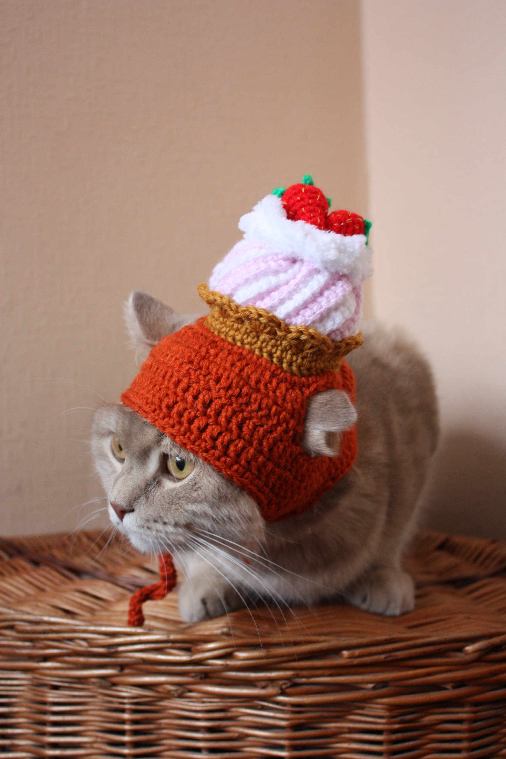 Cat Hat With Cake and Strawberries, Pet Accessories, Cat Clothes, Cat ...