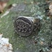 Freyr Boar Norse Ring Viking Jewelry Ingwaz Rune - Etsy