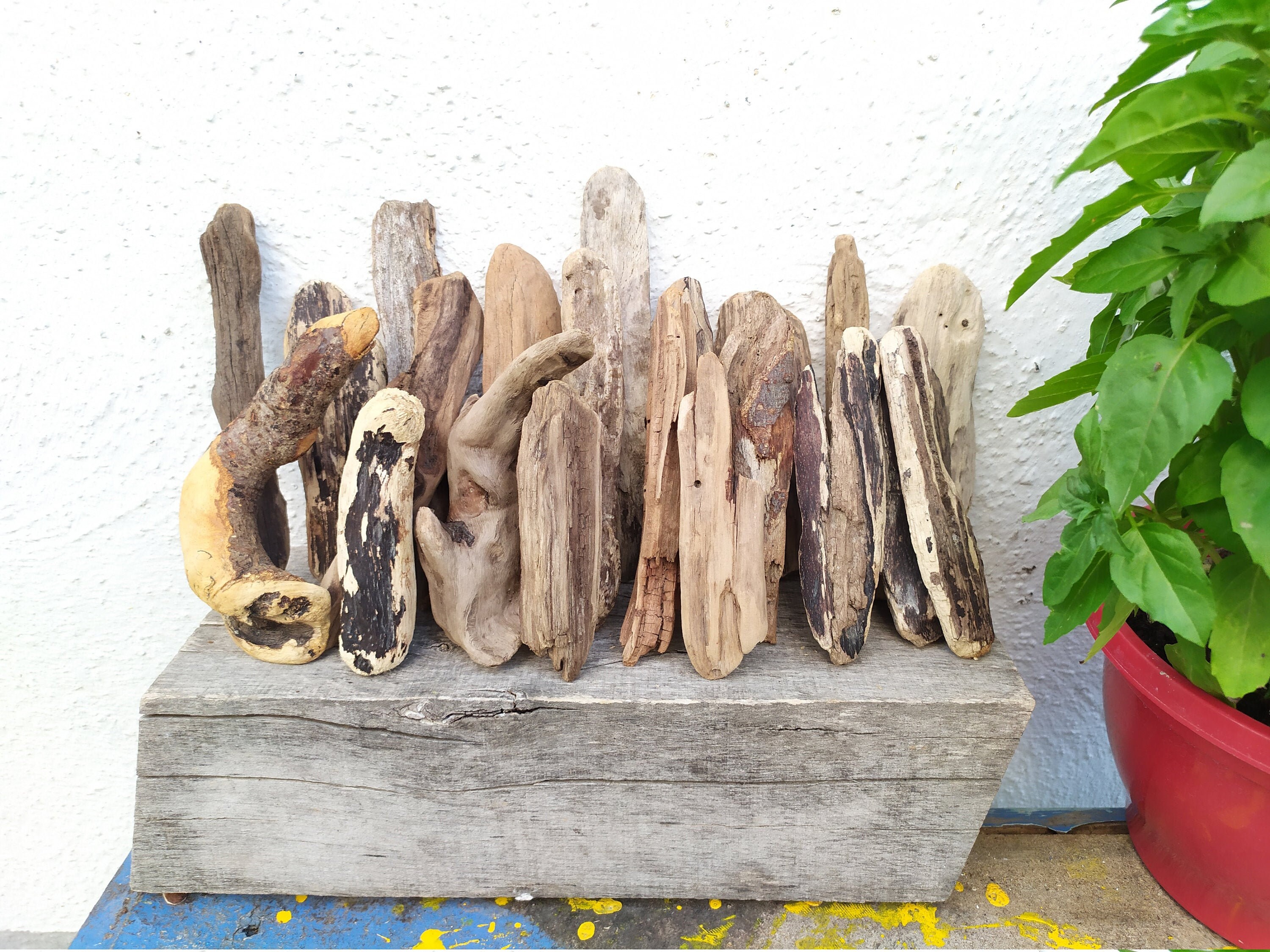 21 small driftwood pieces for crafts driftwood sticks bulk | Etsy