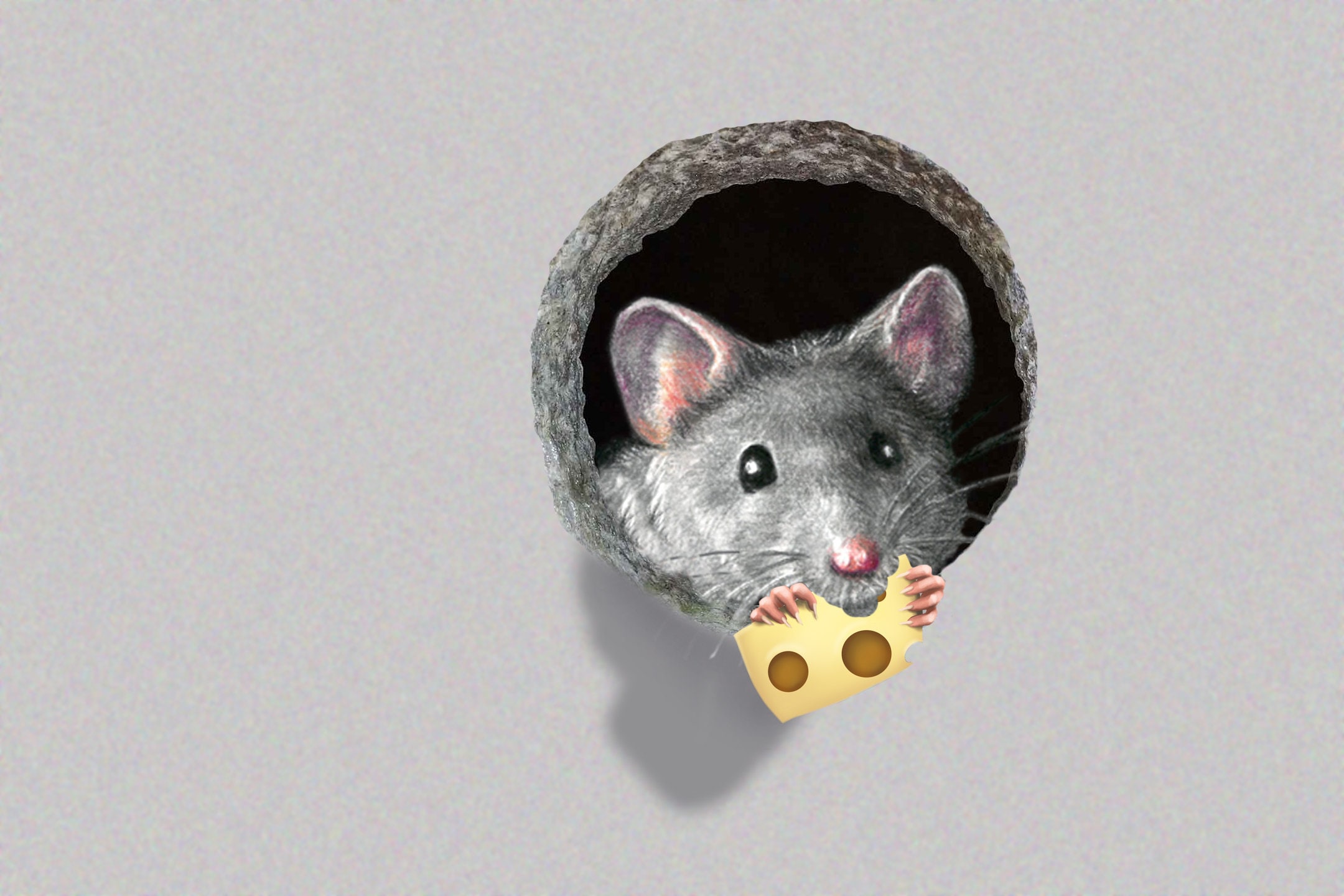 Realistic 3D Mouse Wall Sticker - Etsy