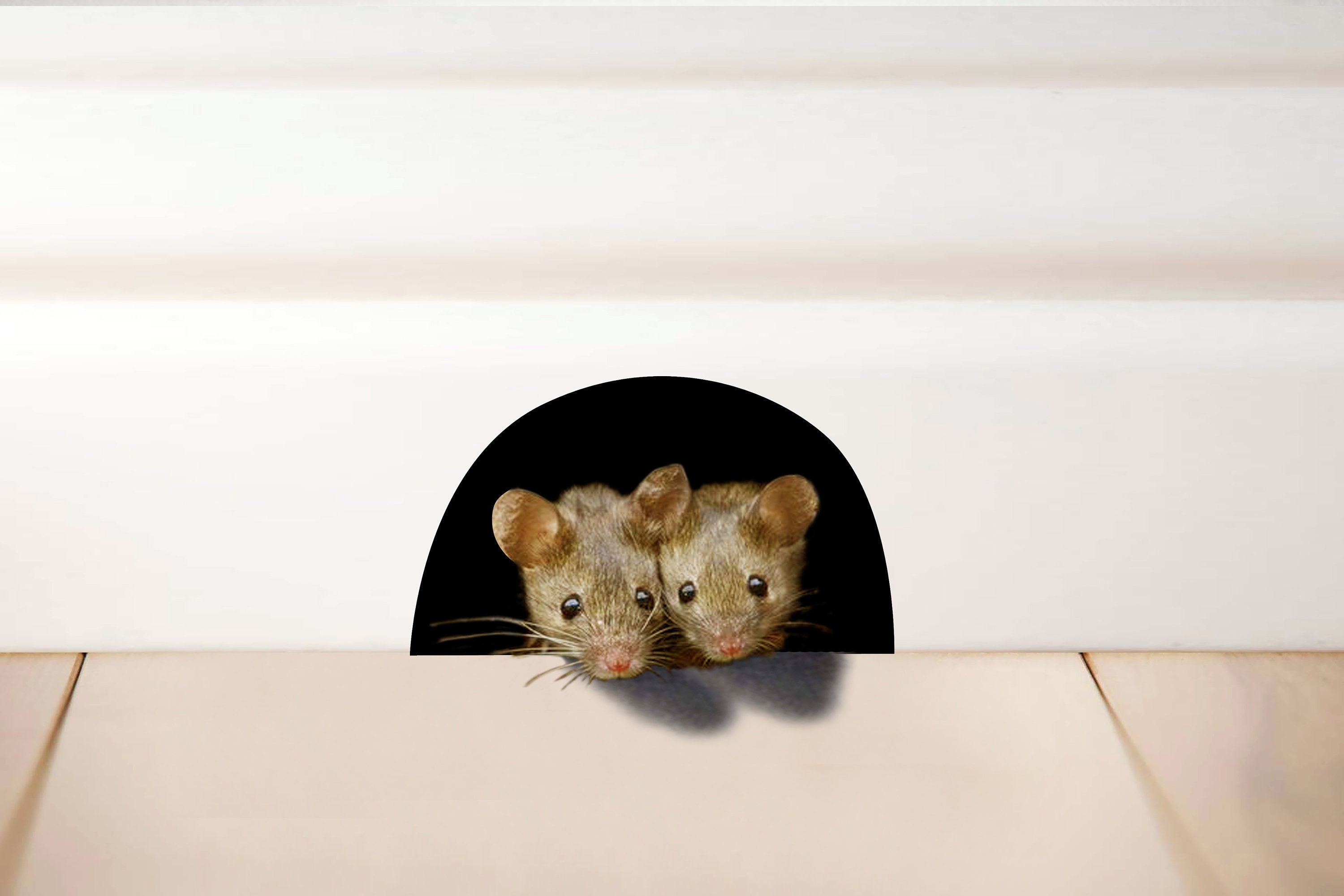 Realistic 3D Mouse Wall Sticker - Etsy UK