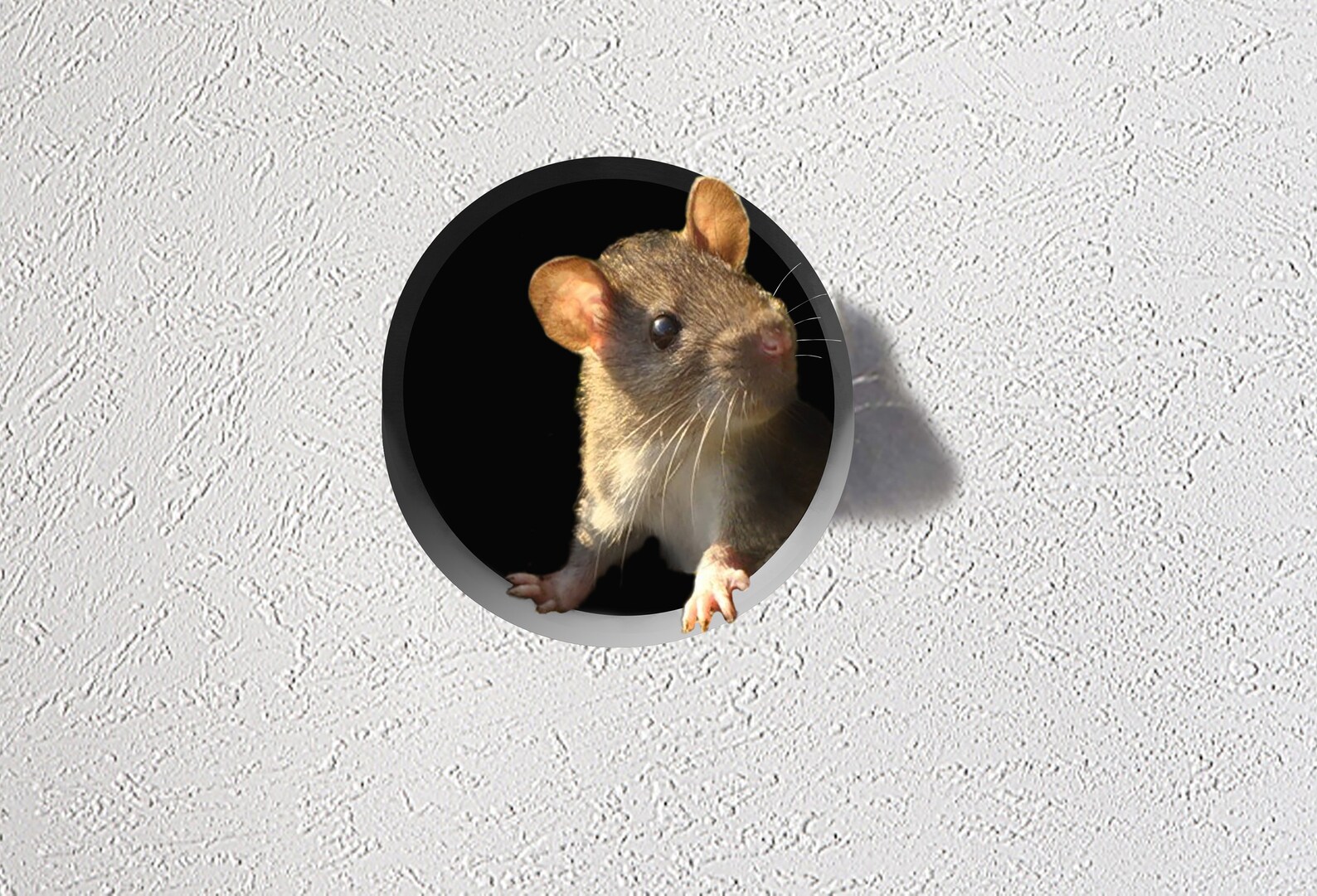 Realistic 3D Mouse Wall Sticker - Etsy