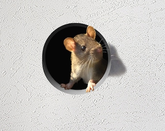 Realistic 3D Mouse Wall Sticker | Etsy