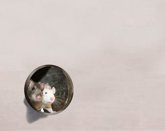 Realistic 3D Mouse Wall Sticker - Etsy