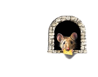 Realistic 3D Mouse Wall Sticker - Etsy