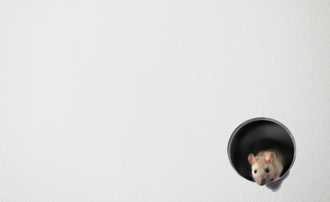 Realistic 3D Mouse Wall Sticker - Etsy
