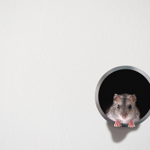 Realistic 3D Mouse Wall Sticker - Etsy